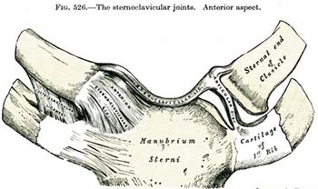Sternoclavicular Joint Involvement in Rheumatoid Arthritis: Fascinating ...