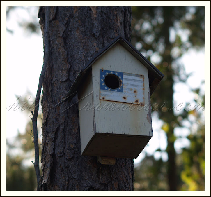 Patient centered home post birdhouse | Rheumatoid Arthritis Warrior